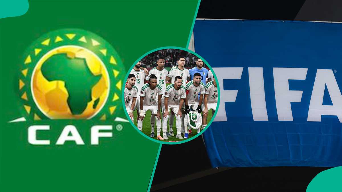 Algeria Football Federation submits official petition to CAF, FIFA ...