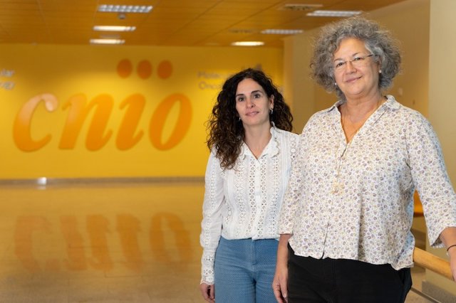 Una investigación del CNIO halla nuevos genes que predisponen al cáncer ...
