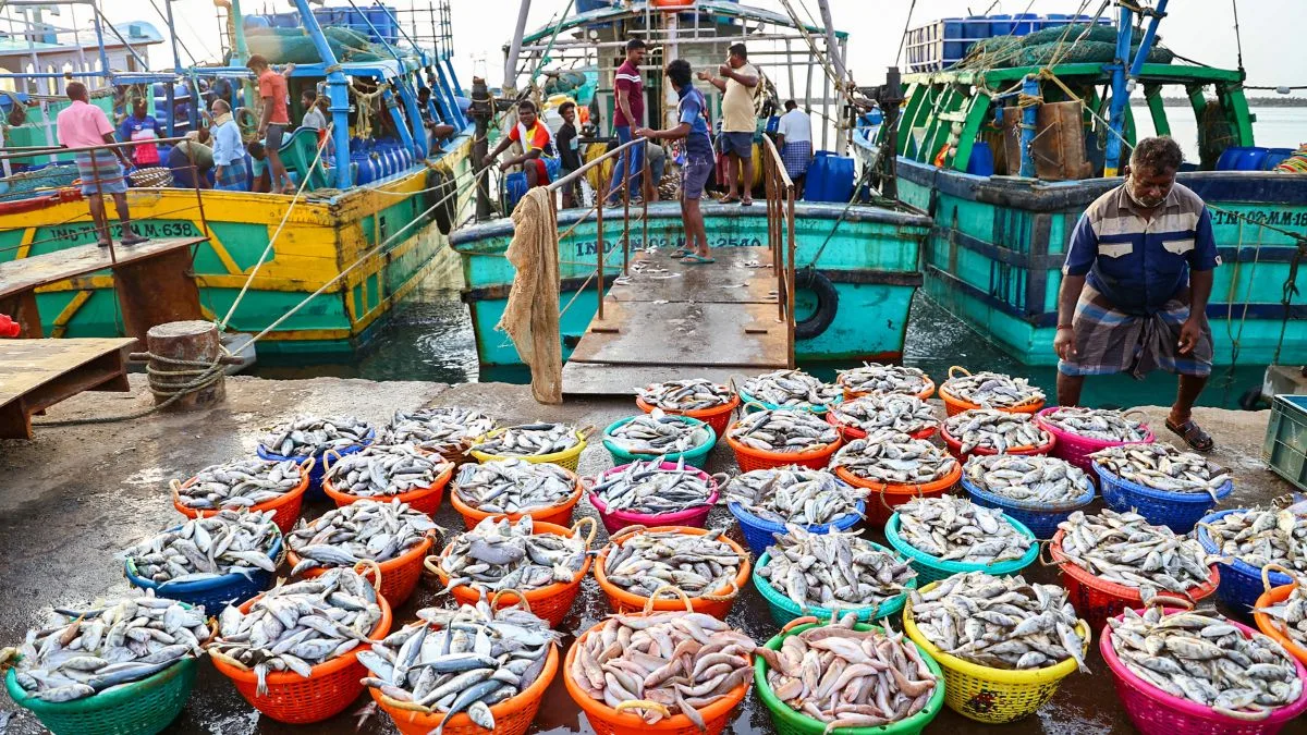 Govt to host meet of over 80 envoys on Wednesday to boost seafood exports