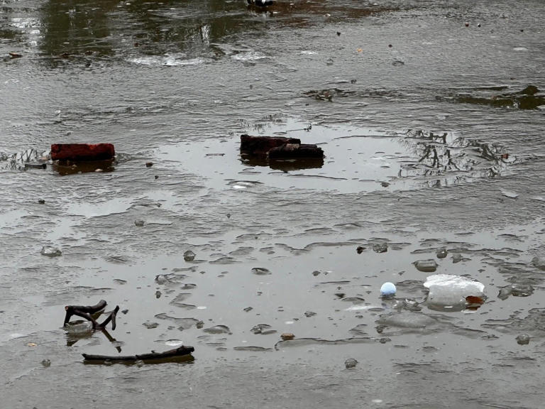 'No respect' - Broken glass and litter spark concern at Midhurst’s ...