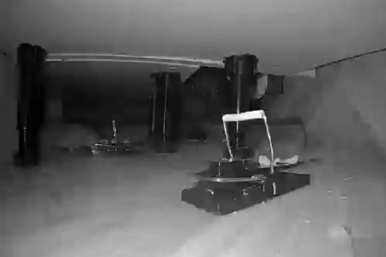 West Lothian woman films huge rat in her home as 'neighbourhood gets ...