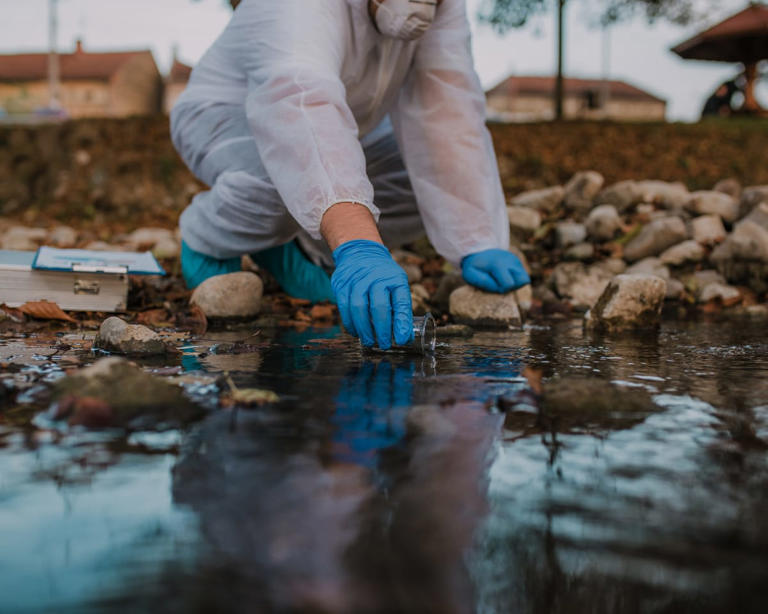 Drugs, cancer-linked chemicals found in popular national park’s water ...