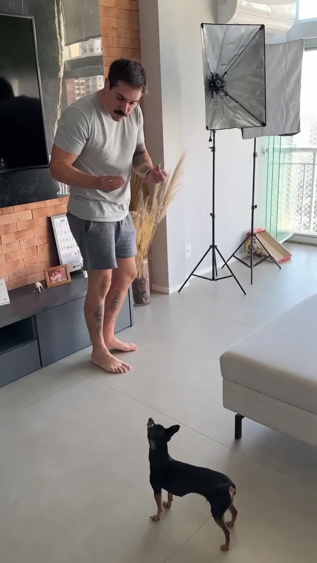 Quando eu prometo passear mais tarde