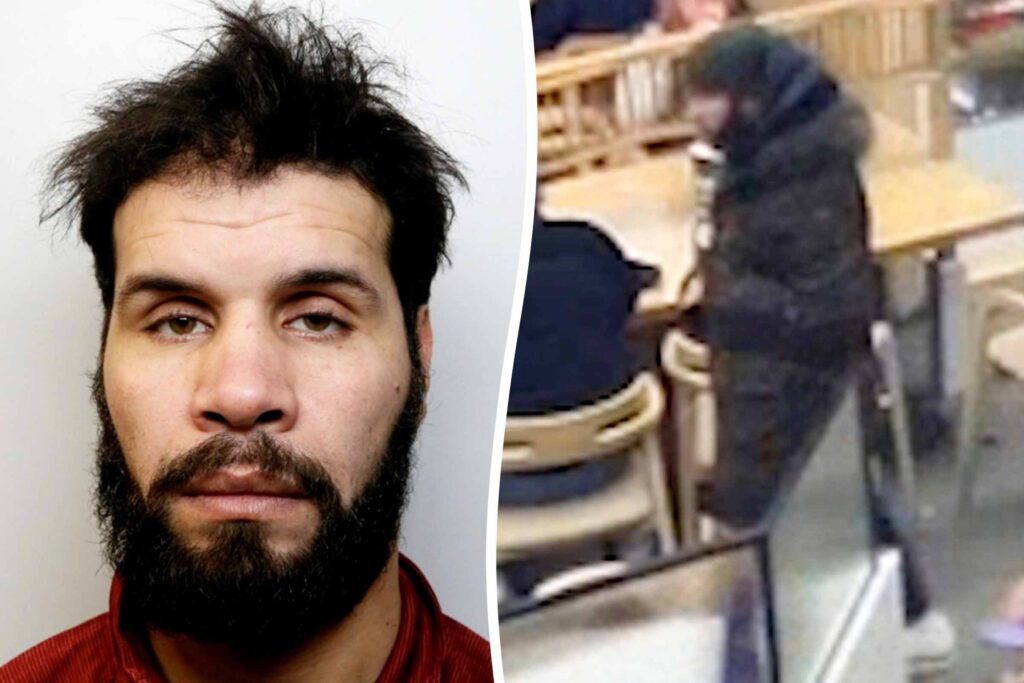 Thief caught red-handed after swiping rucksack in St Pancras station