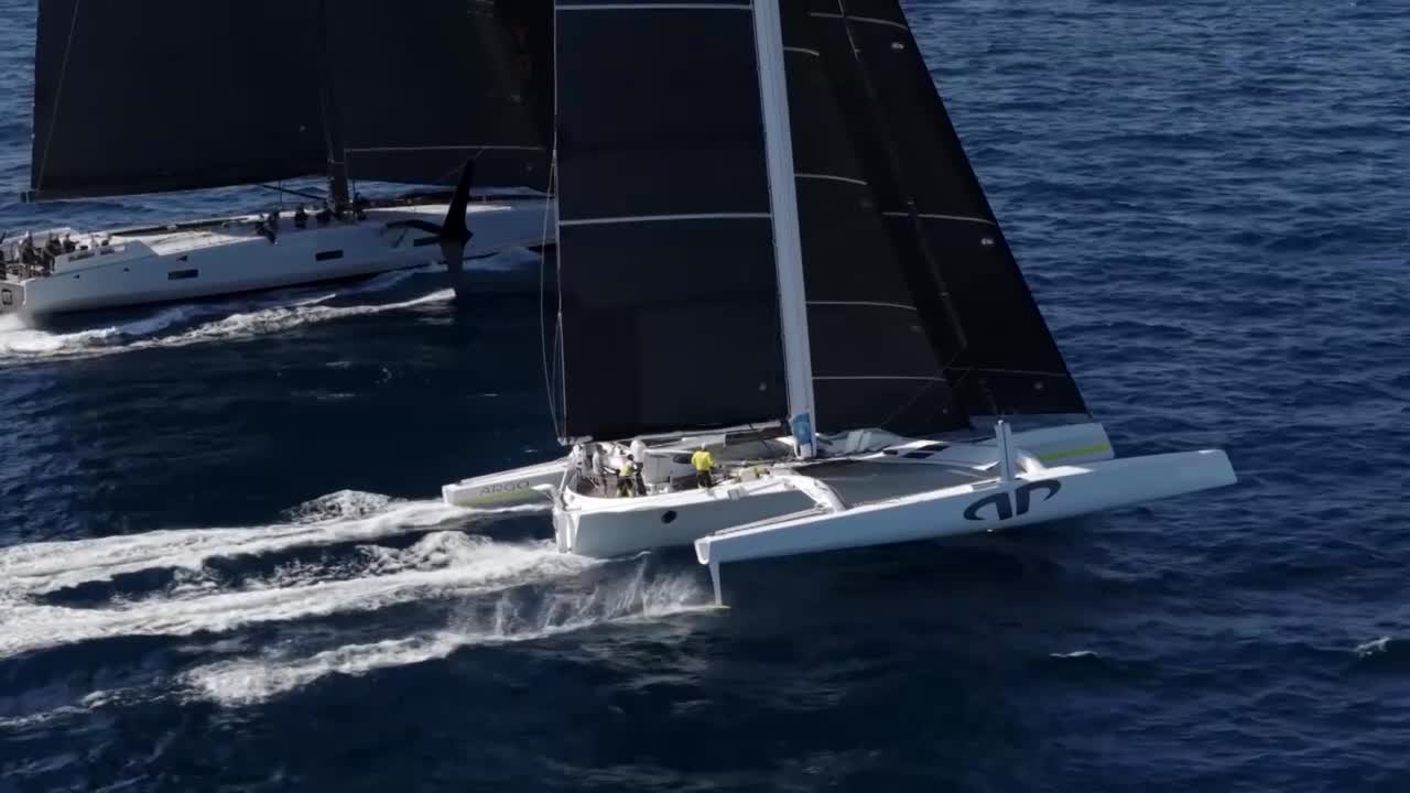 Speed demons Argo and Zoulou lead Atlantic charge as fleet sets sail