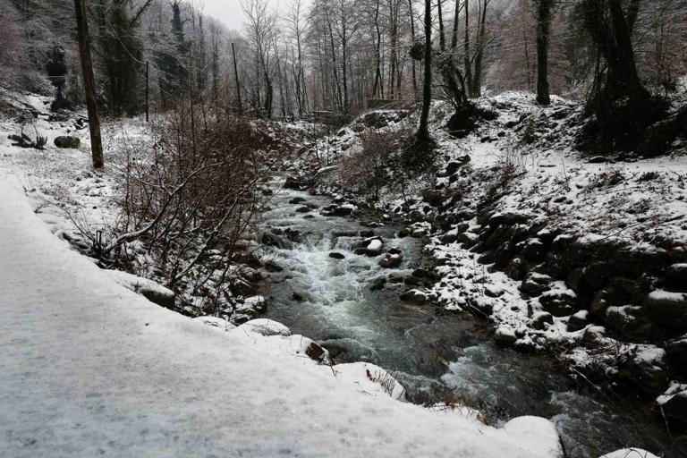 Beyaz örtü Sapanca Gölü’nü besleyen derelere can oldu