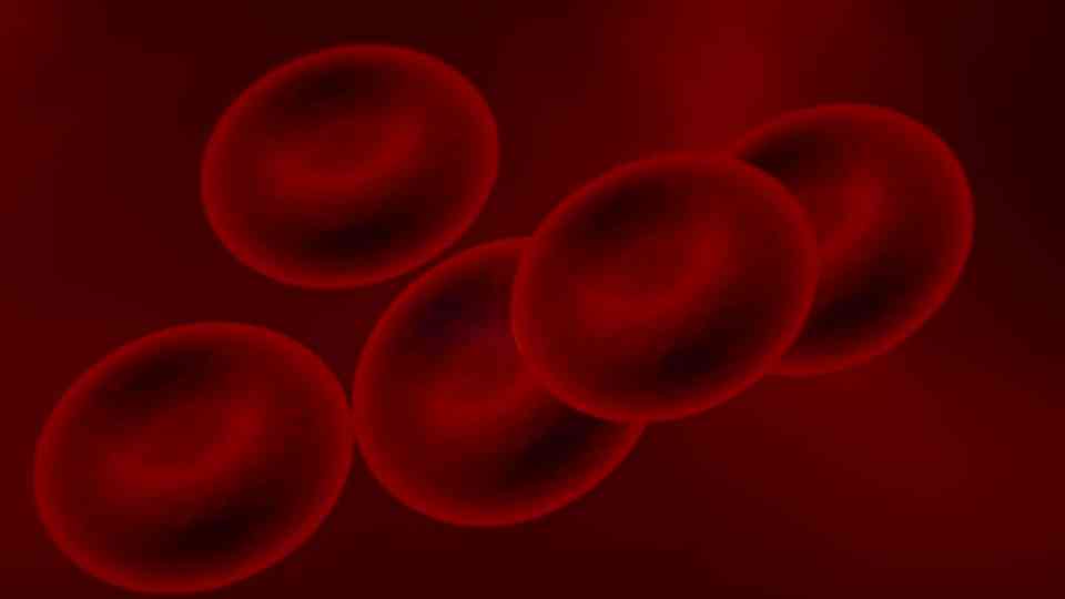 How do cells know to stop growing at a specific size?