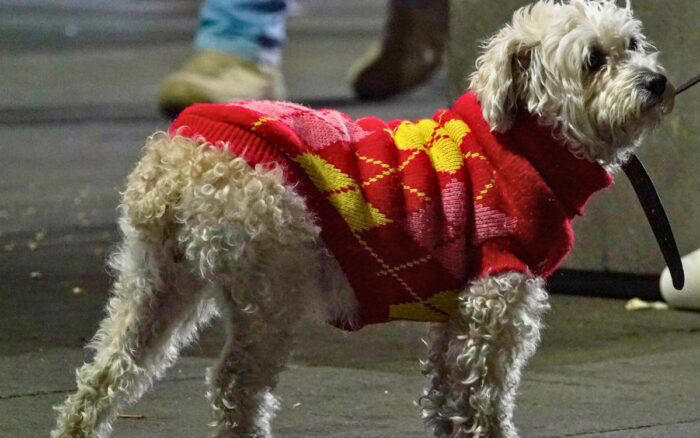 Temperatura en México: ¿Por qué hay frío extremo y qué hacer para ...
