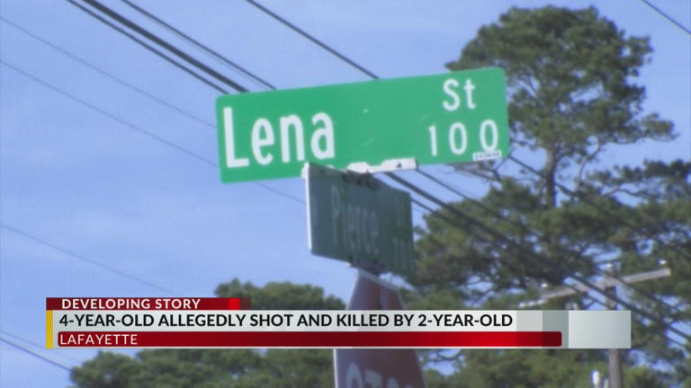 Lafayette police release details after four-year-old killed in ...