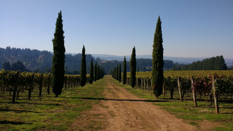 Between Portland and the Oregon coast is an emerald valley with ...