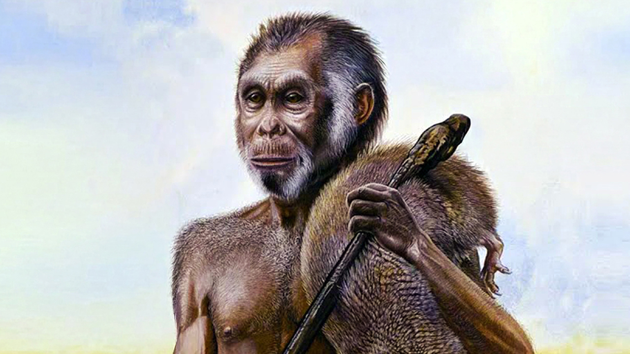 Homo luzonensis: The enigmatic human of the Philippines