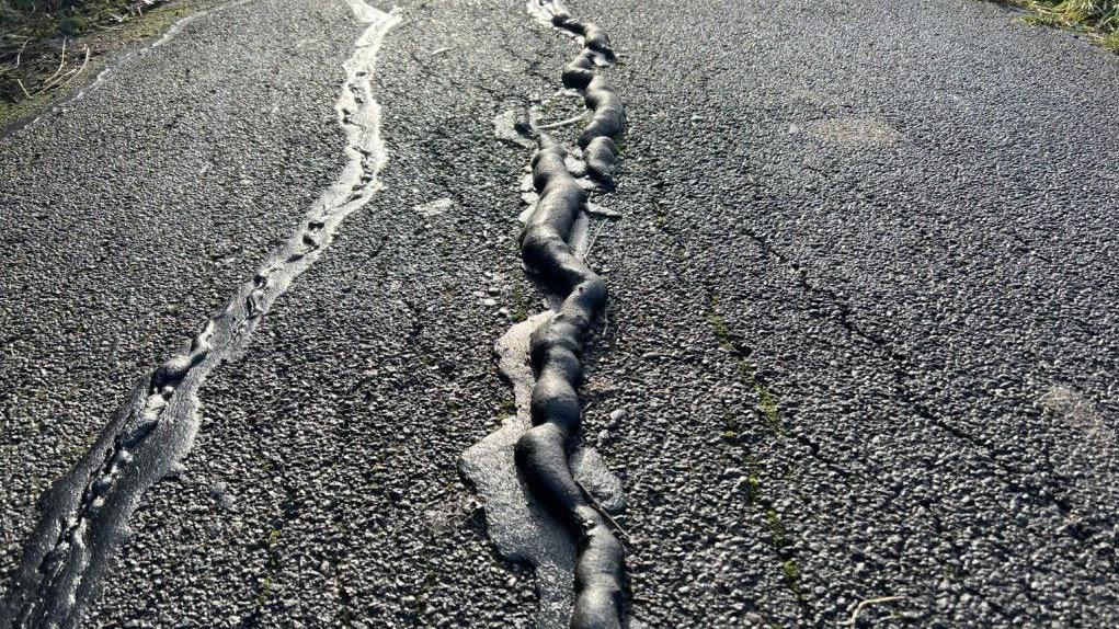 Mysterious snake formations return to bike path