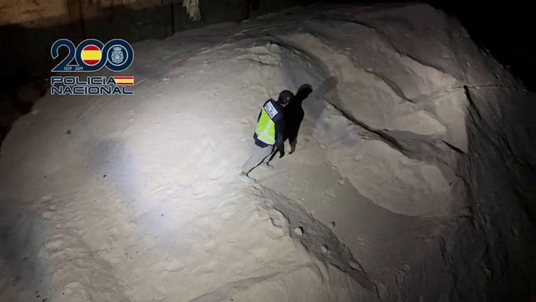 Spanish police seize record 10 tons of cocaine hidden in cargo of salt