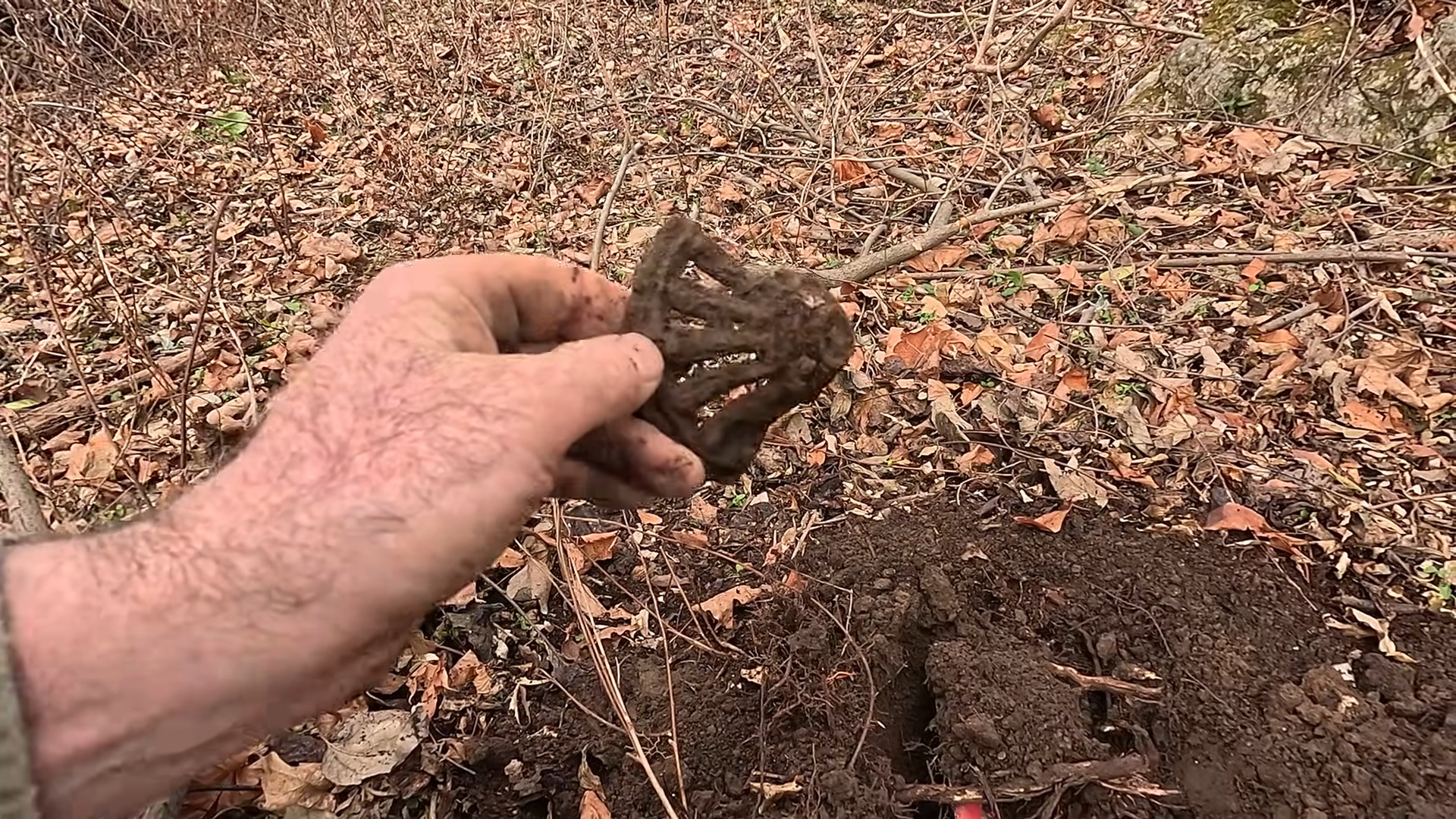 You work for what this country still holds - Metal detecting the Briars