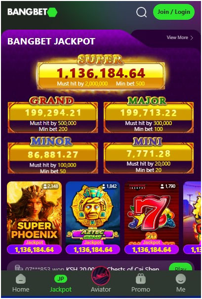 How online betting platforms are adapting to digital gaming trends