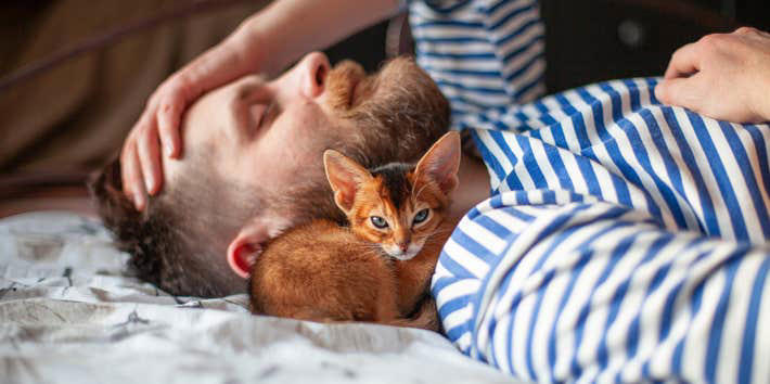 How Your Cat Protects You And Your Home From Evil Spirits & Negative ...