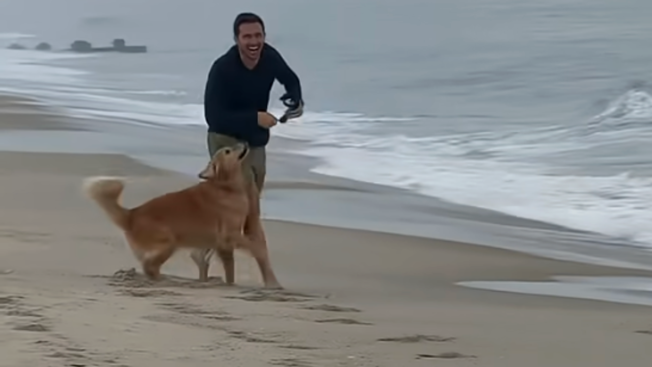 She took the camera and started filming