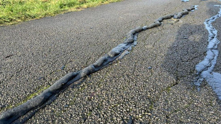 Mysterious snake formations return to bike path