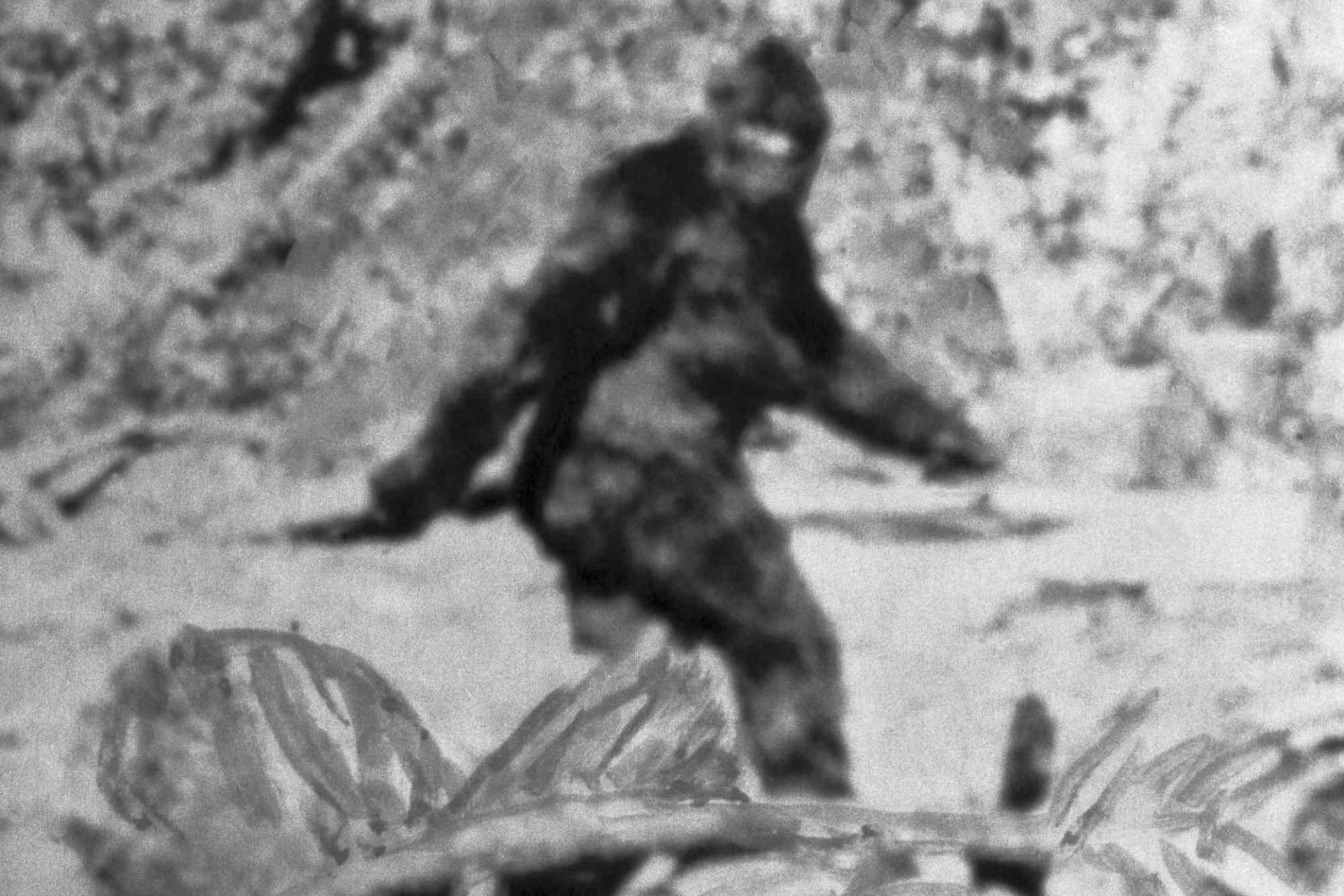 Lo que dice la ciencia sobre el yeti
