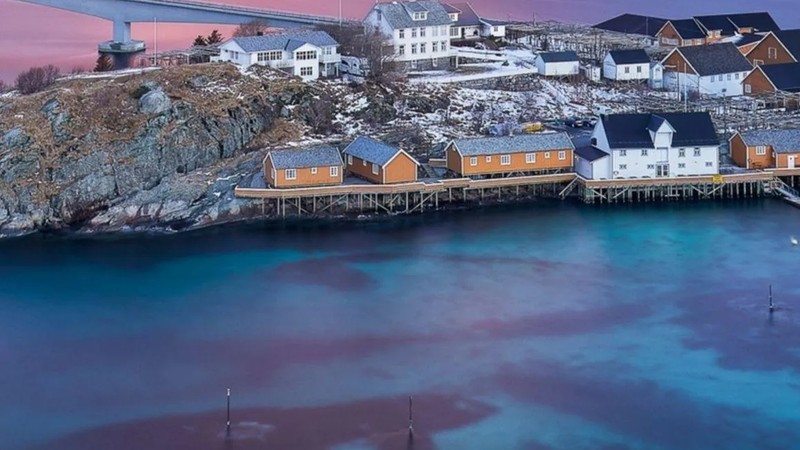 Is Svalbard the weirdest place on Earth? Find out why you can't give ...