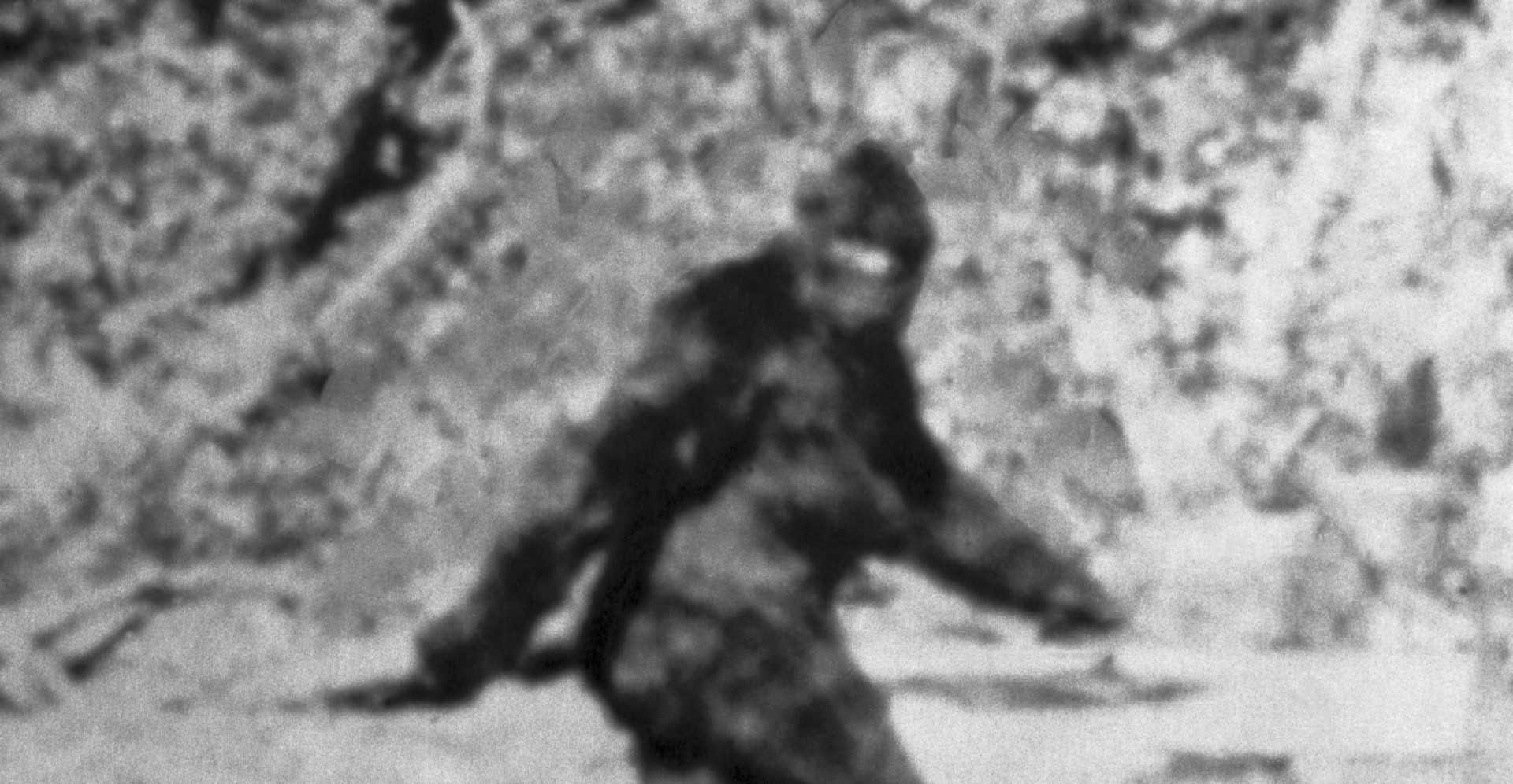 Famous folklore monsters that might live in America