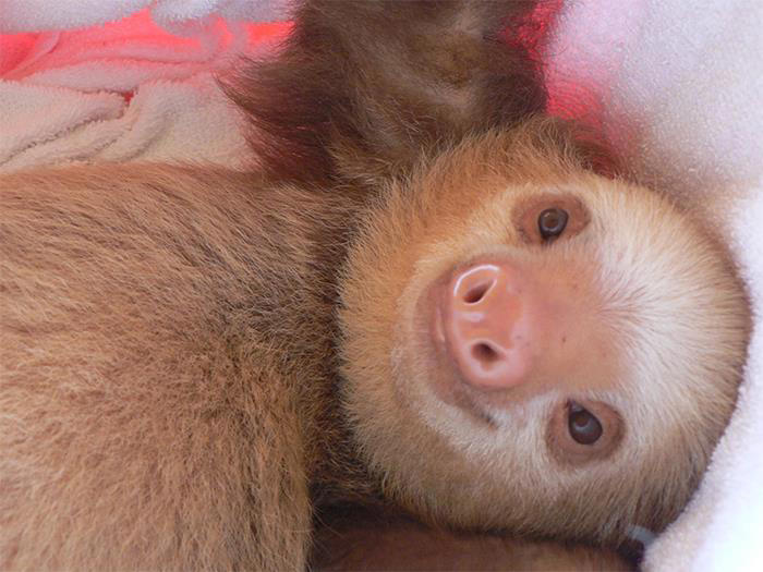 People who have to enter other people’s houses as part of their job ...