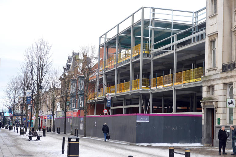 College project already playing education role