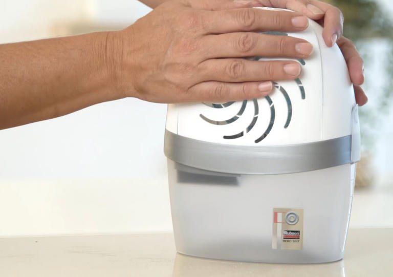 Adieu l'humidité ! Le lot d'absorbeurs avec recharges voit ses ventes ...