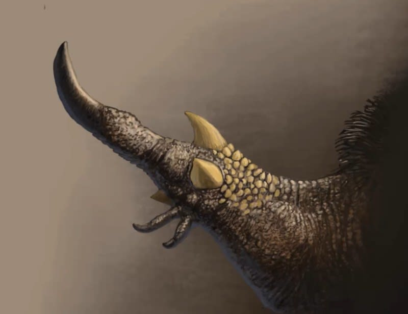 New dinosaur species leaves experts 'flabbergasted'