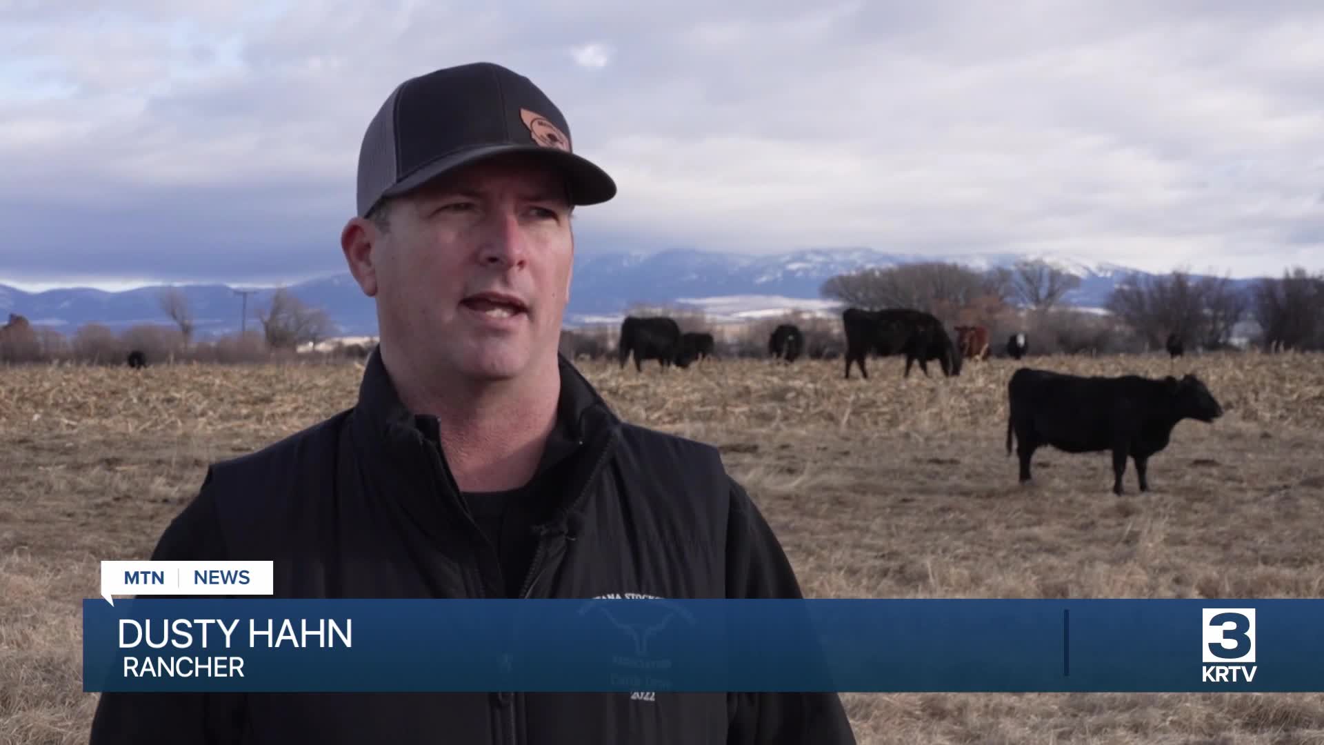 Montana Ag Network: Townsend rancher nominated as top MSGA member