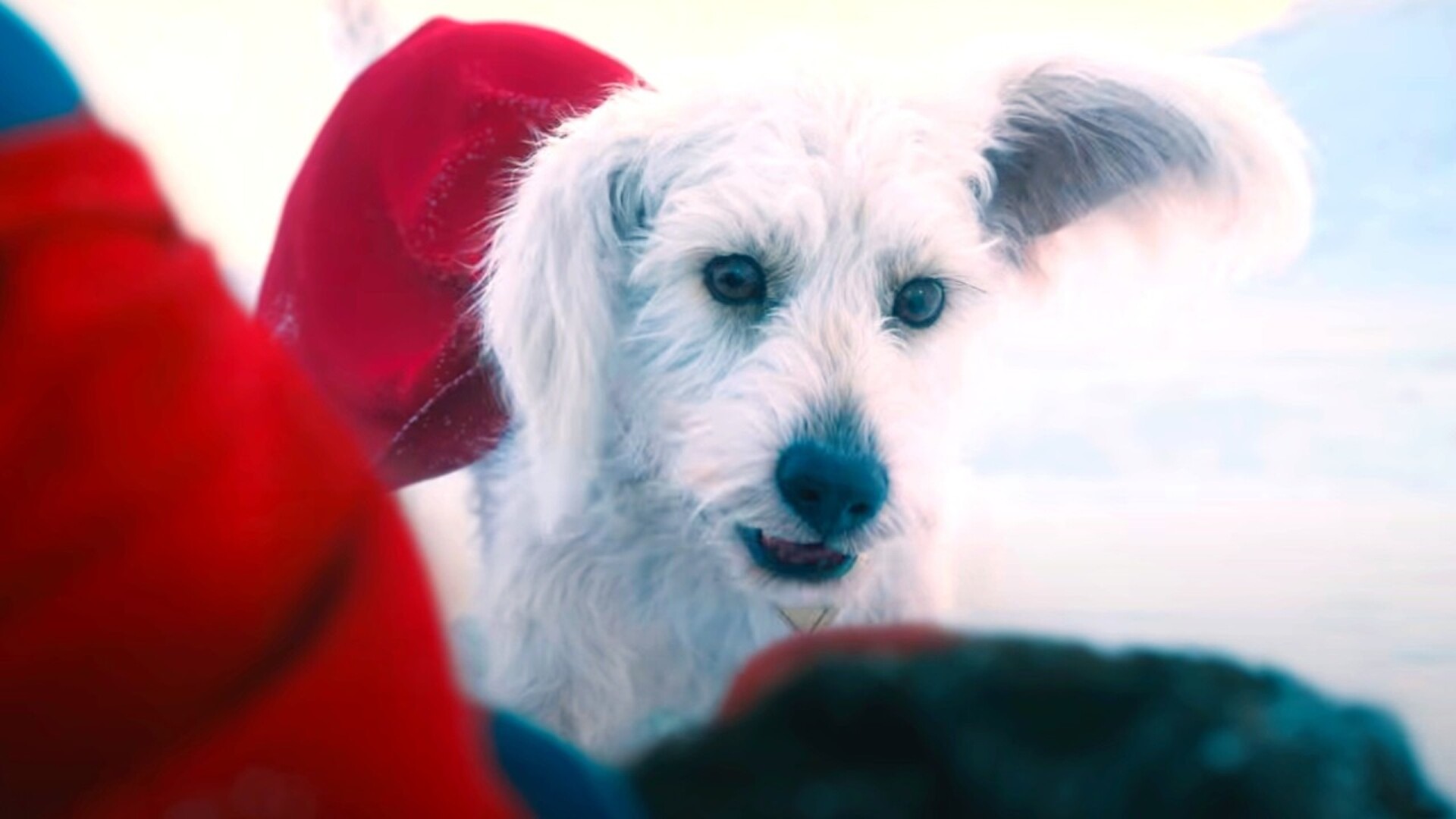 Every Krypto the Superdog power explained