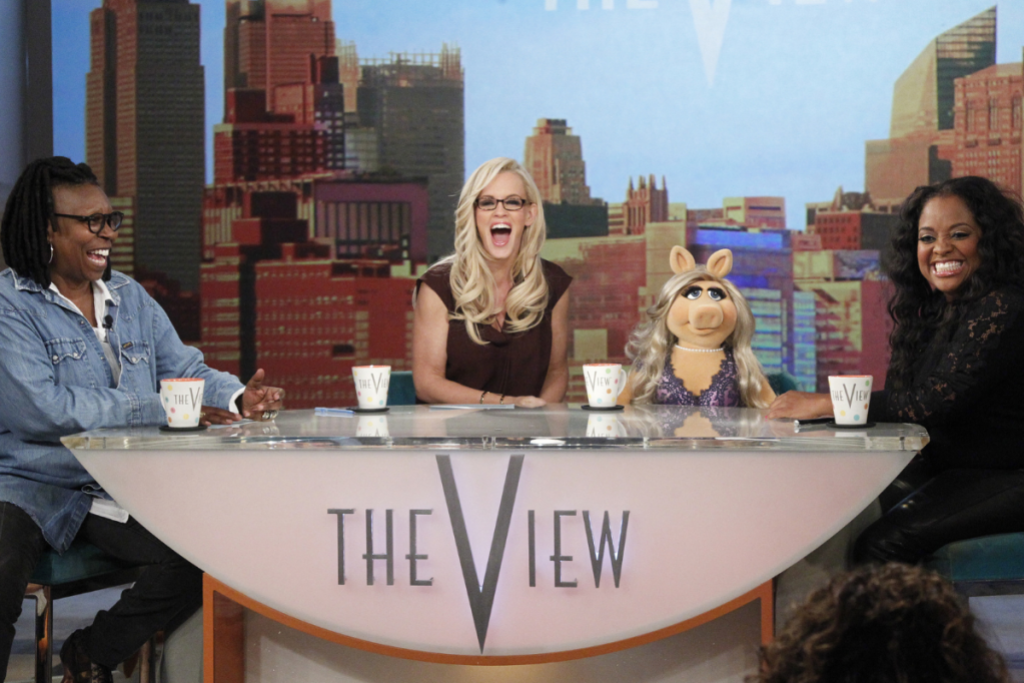 Former 'The View' co-host declares she will never return to the ABC ...