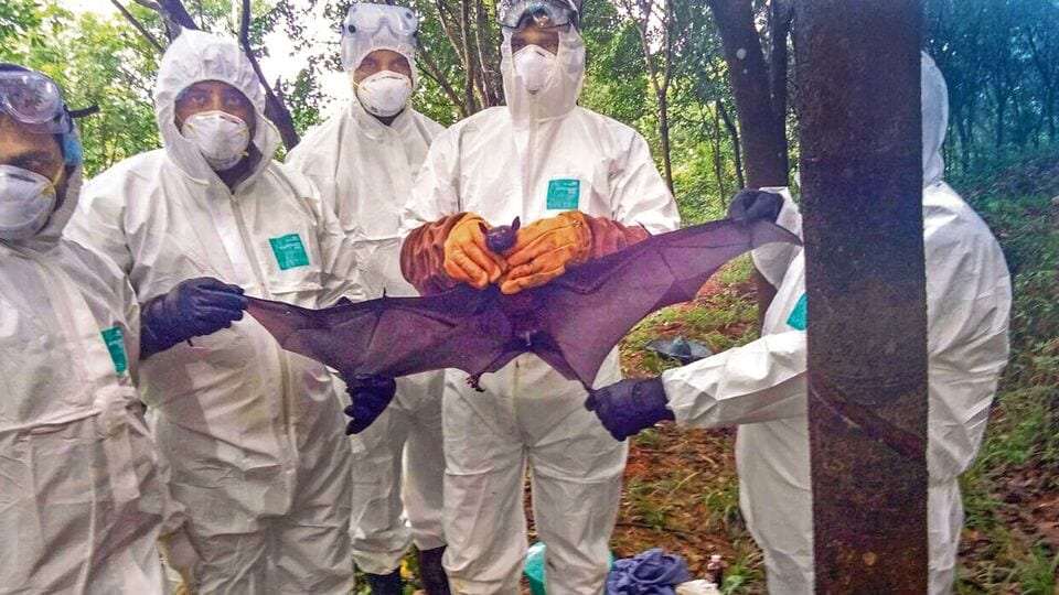 Nipah alert in West Bengal: Centre rushes expert response team