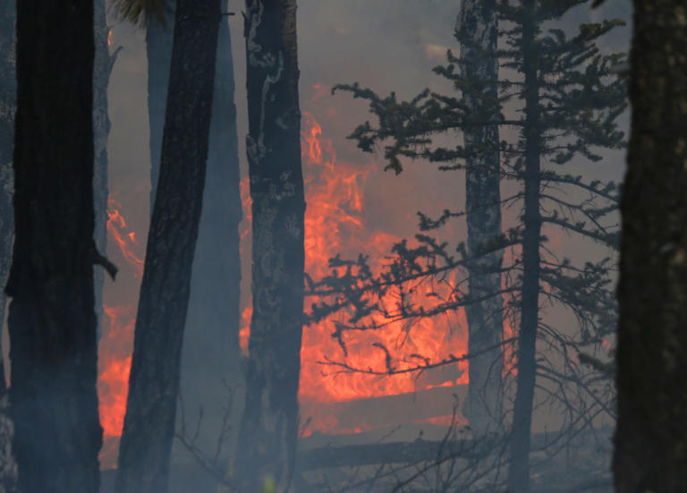 USU researchers predict 60% wildfire increase in Utah forests by 2050