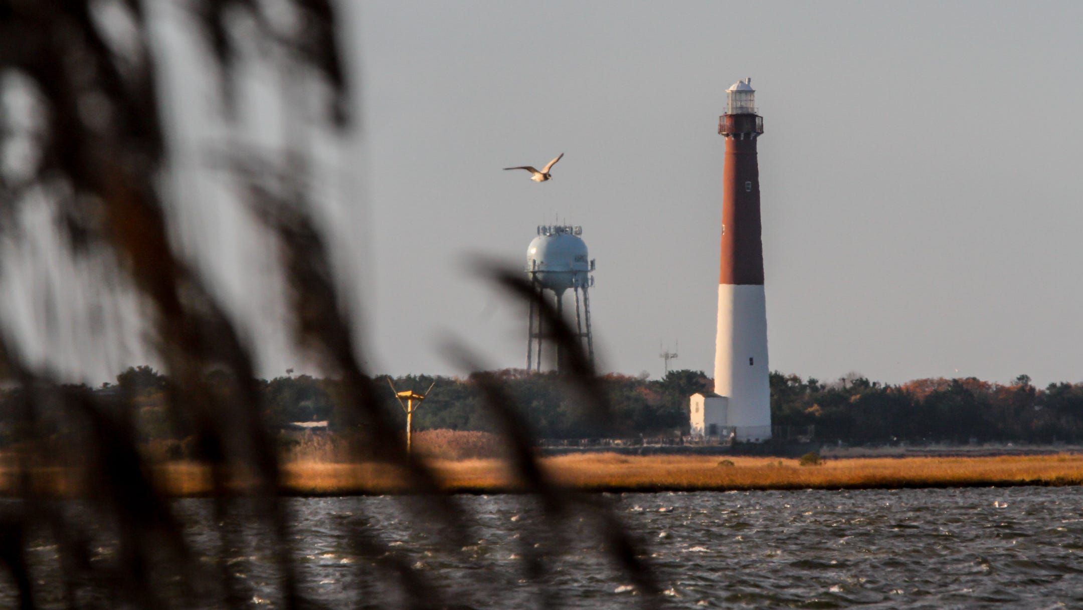 NJ state parks hiring 800 seasonal workers ahead of America’s 250th