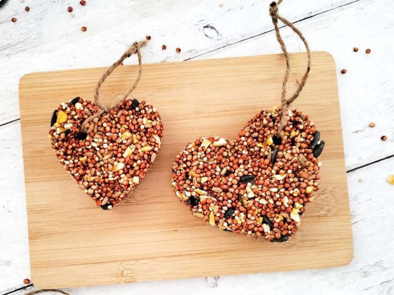 Easy DIY birdseed ornaments