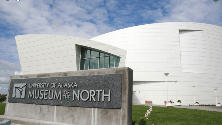 Alaska's 'Mammoth discovery' debunked: Ancient whale bones ...