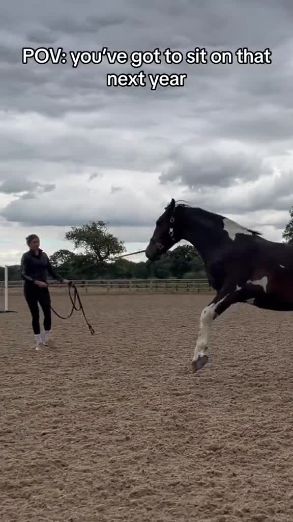 My young horse thinks he is a champion bull rider