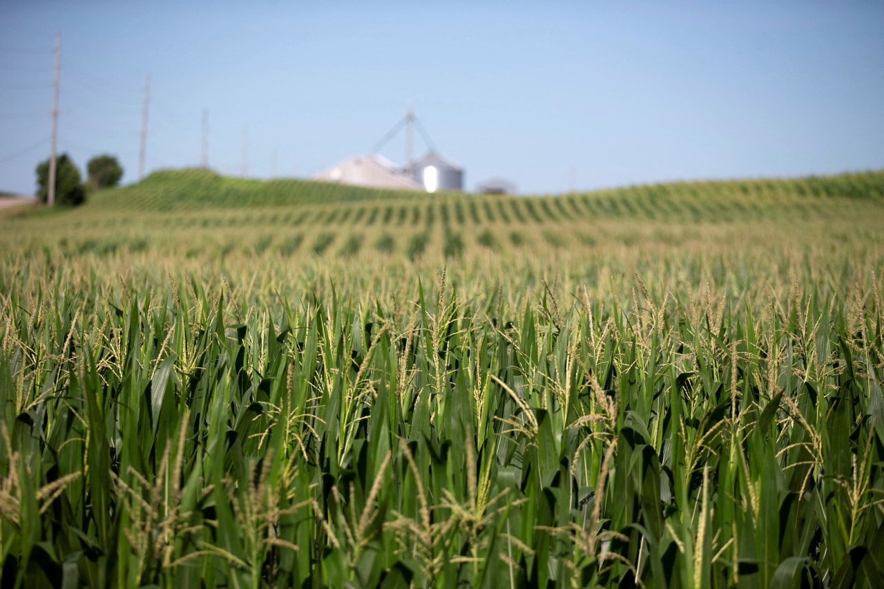 Grain futures drop after USDA increases crop-supply estimates