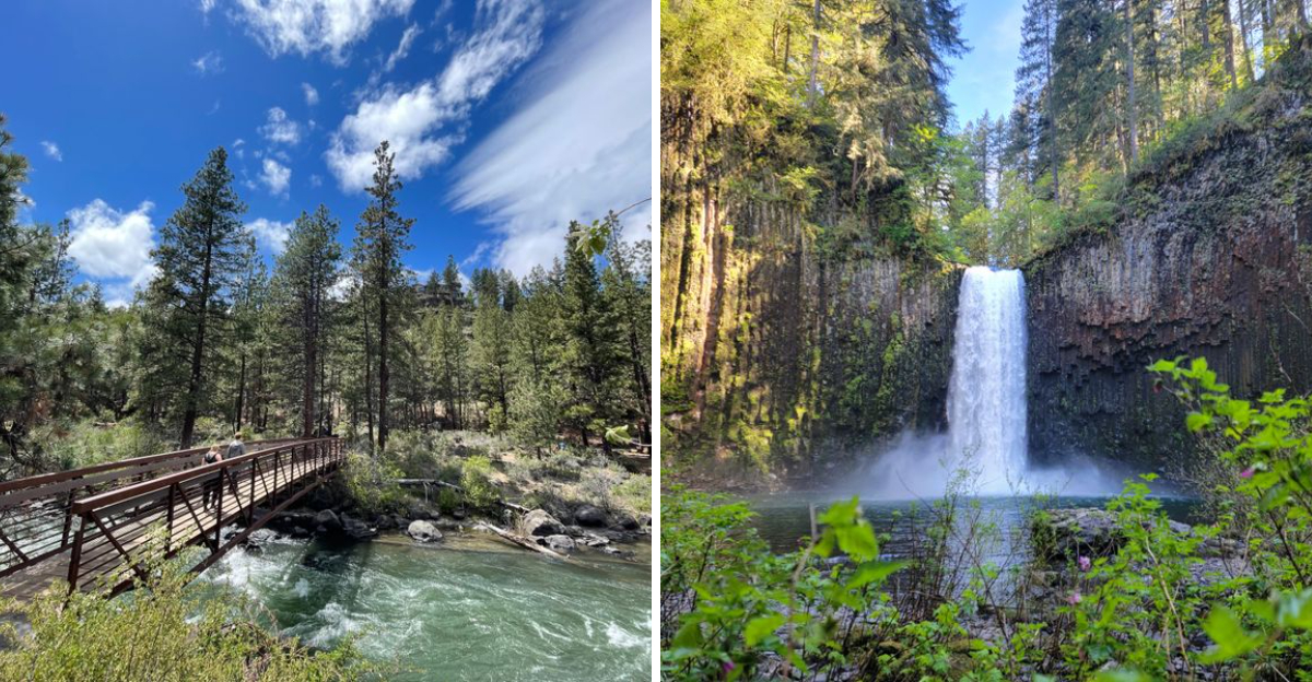 These are 10 river trails in Oregon only locals know