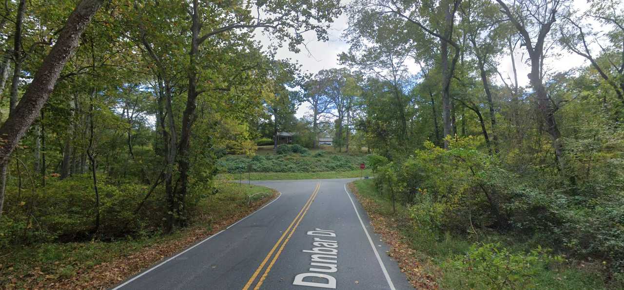 Virginia man killed after car slams into tree in overnight single ...