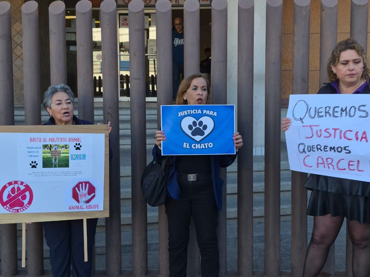 Abogados animalistas se manifiestan en juzgados por caso del perrito ...