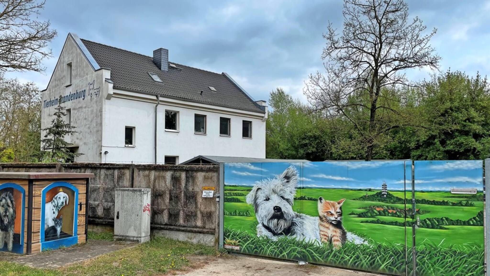 Brandenburg an der Havel: Zwei Hunde bei Eiseskälte in Kinderwagen ...