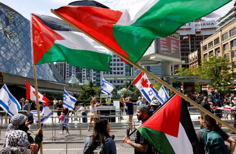 'Antisemitic witch hunt': MP's petition calls for all IDF soldiers in ...