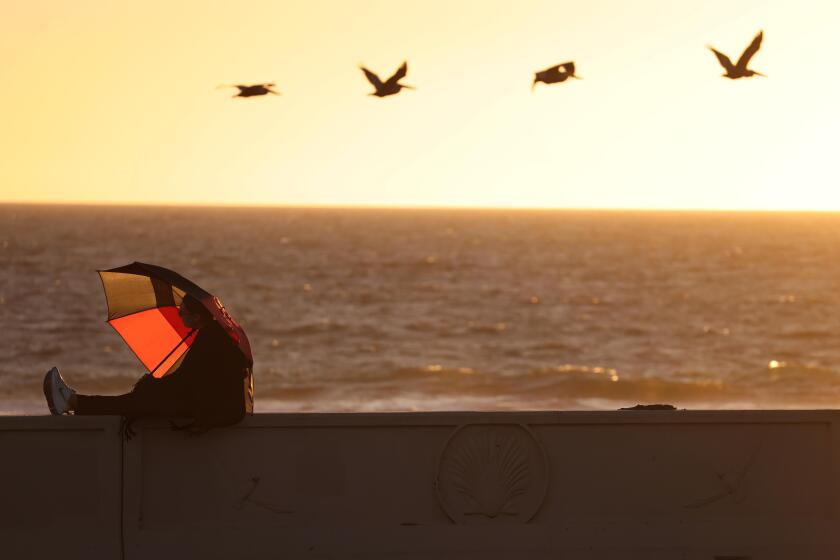 Record high heat, gusty Santa Ana winds forecast for parts of Southern ...