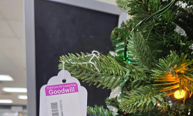 Shopper sparks outrage after sharing photo of holiday sighting at ...