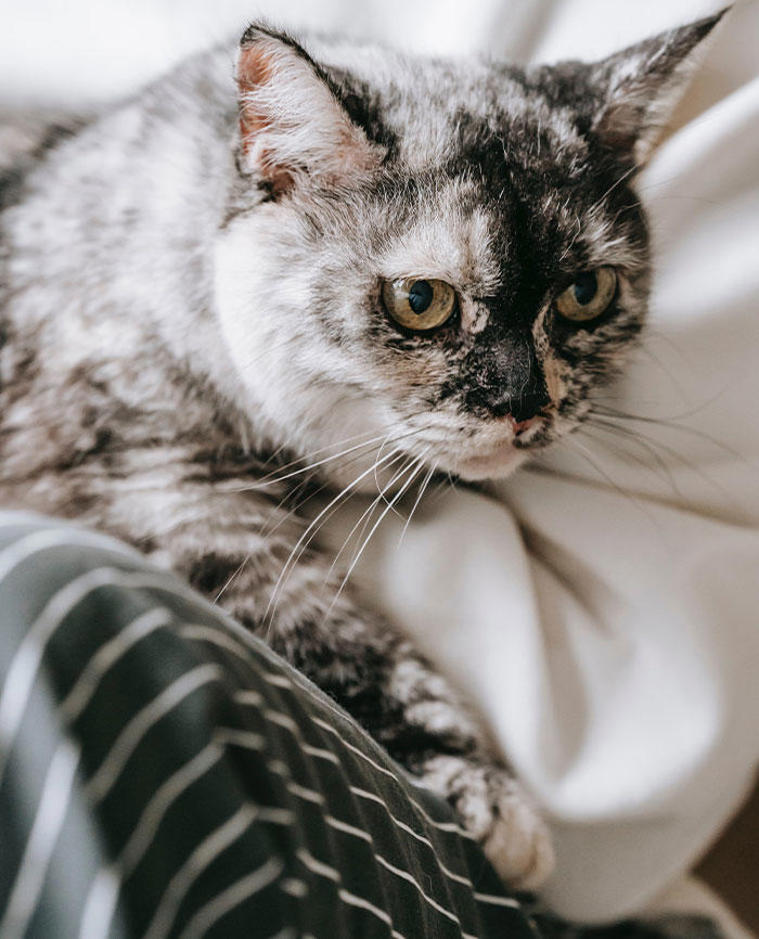 Started forgetting words: 26 people share early signs of cancer to look ...