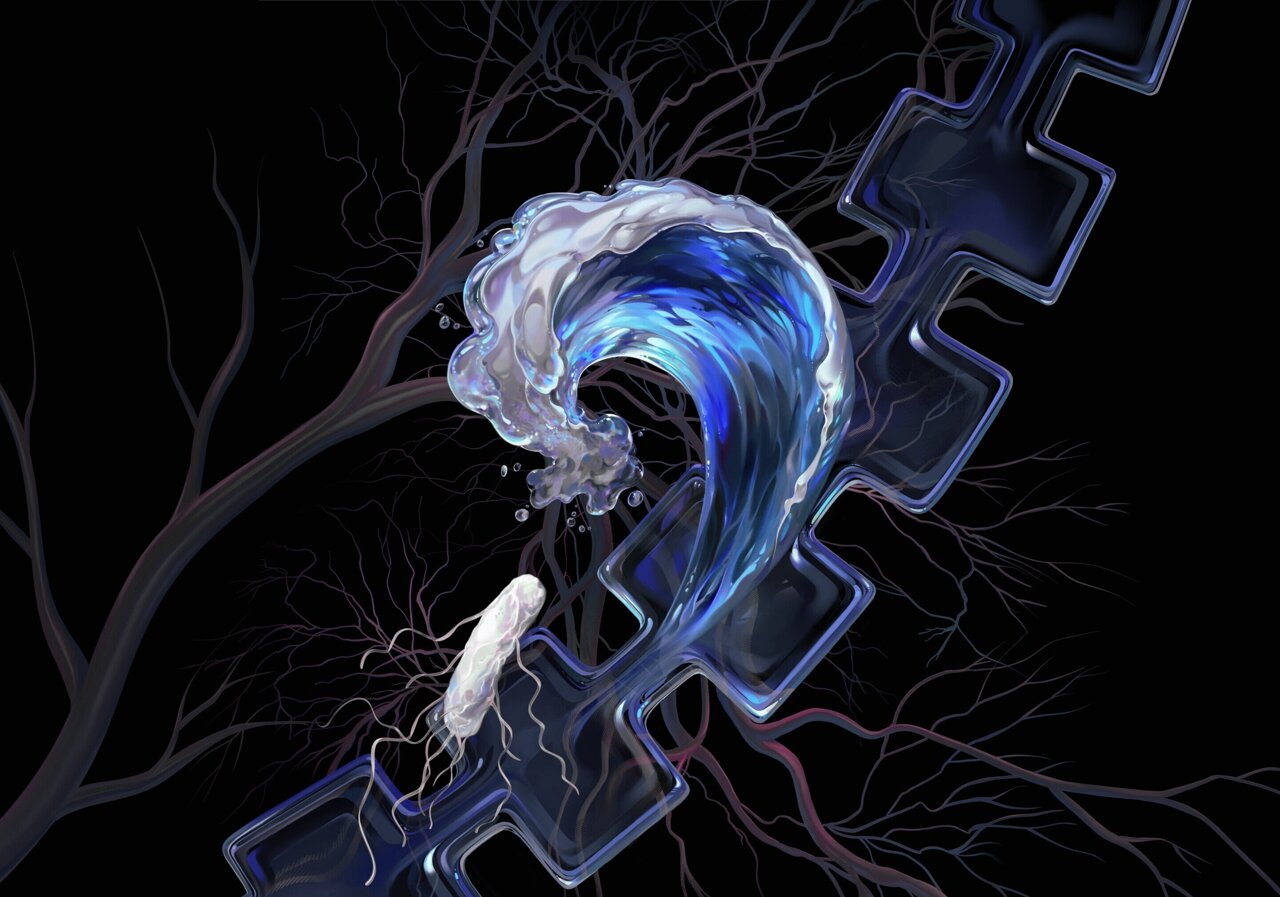 How E coli exploit fluid flow and channel shape to swim upstream and ...