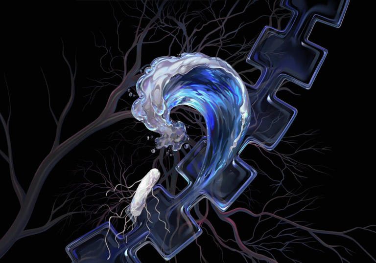 How E coli exploit fluid flow and channel shape to swim upstream and ...