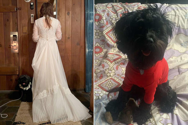 Singer Jenny Lewis celebrates her 50th birthday by marrying her dog in ...